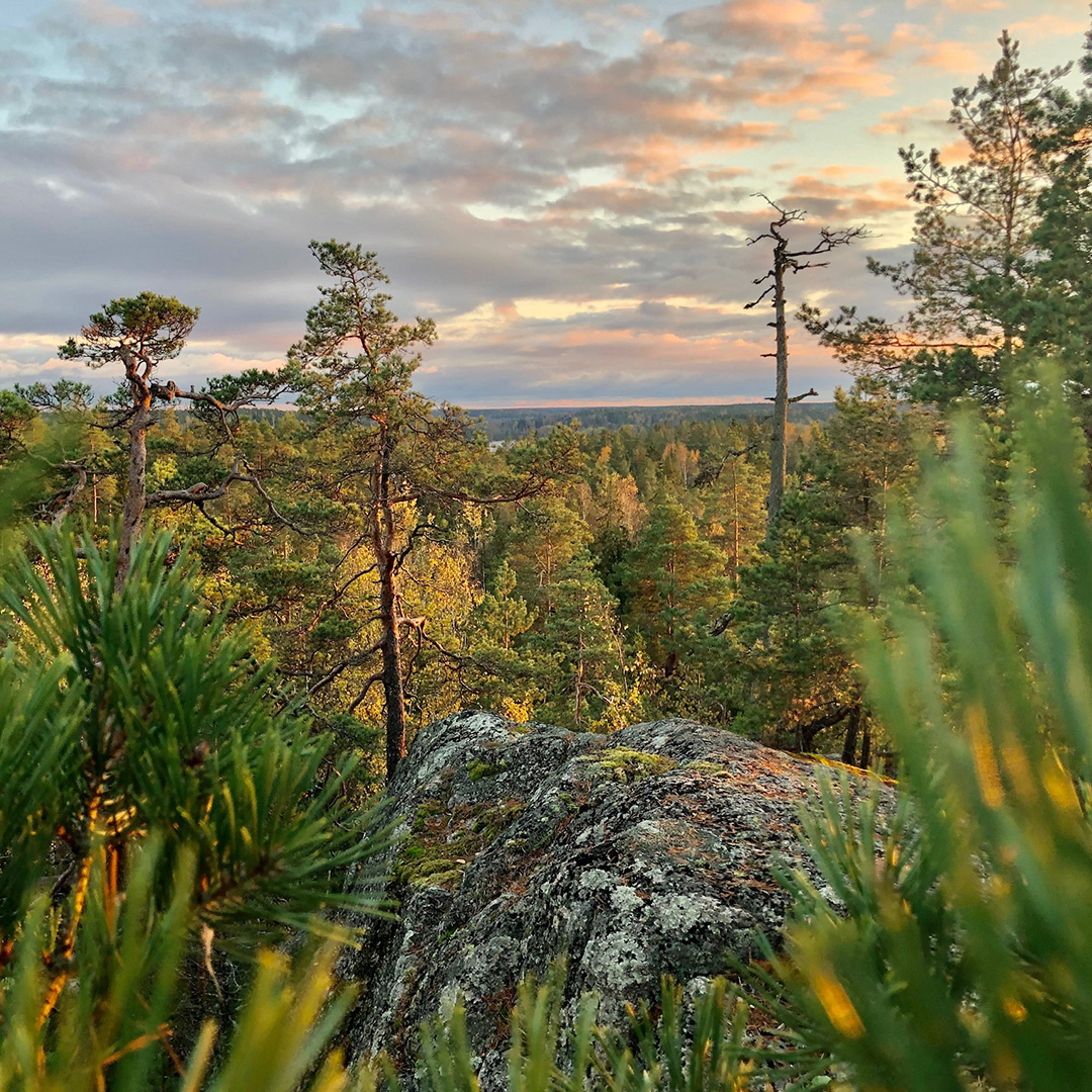 Luonto - nouxfest.fi